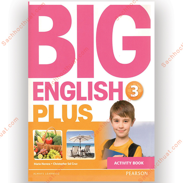 Big English Plus 3 Activity Book