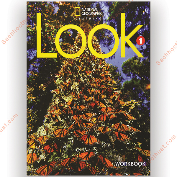 Look 1 Workbook (American English)